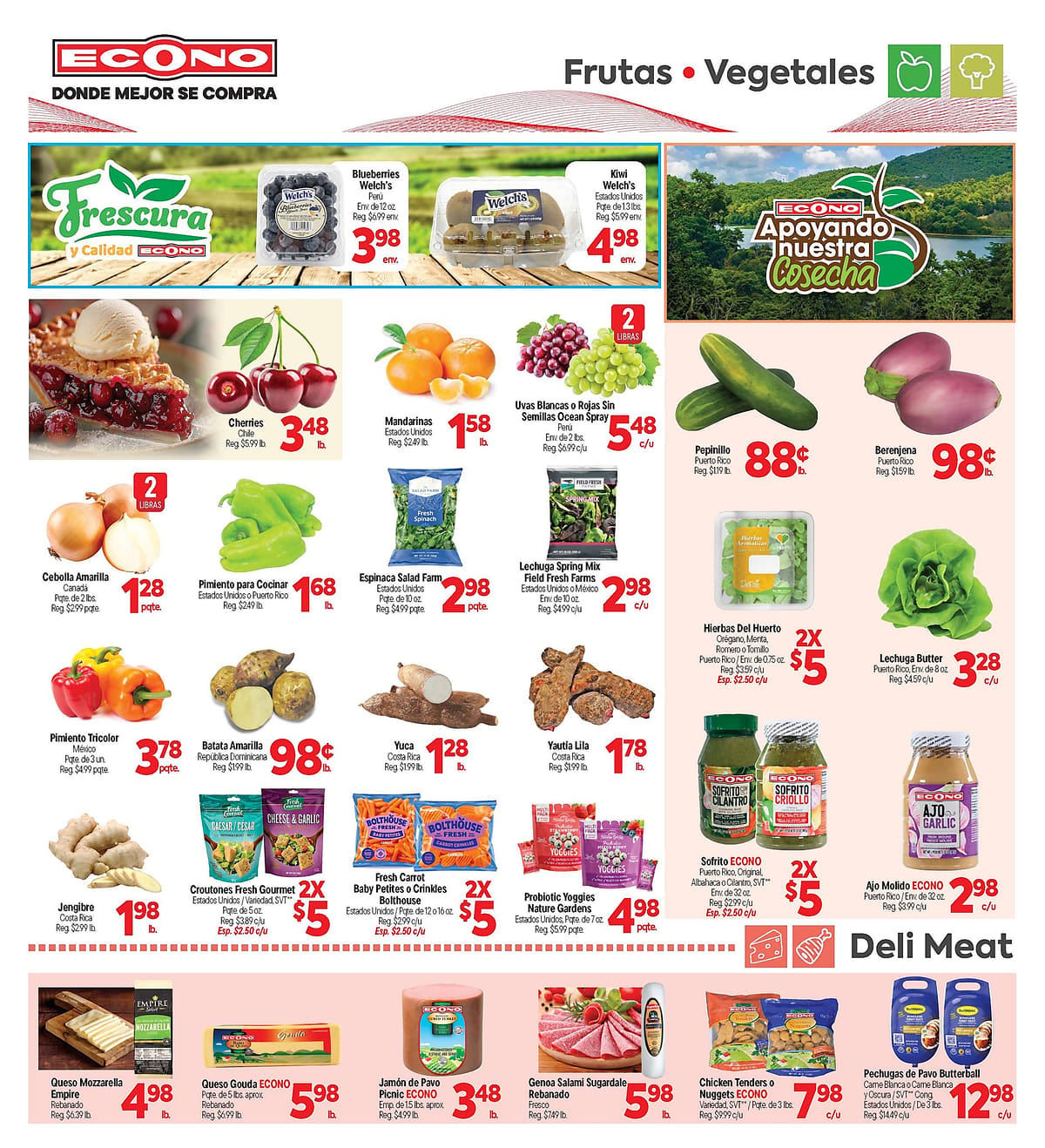 Shopper de Econo