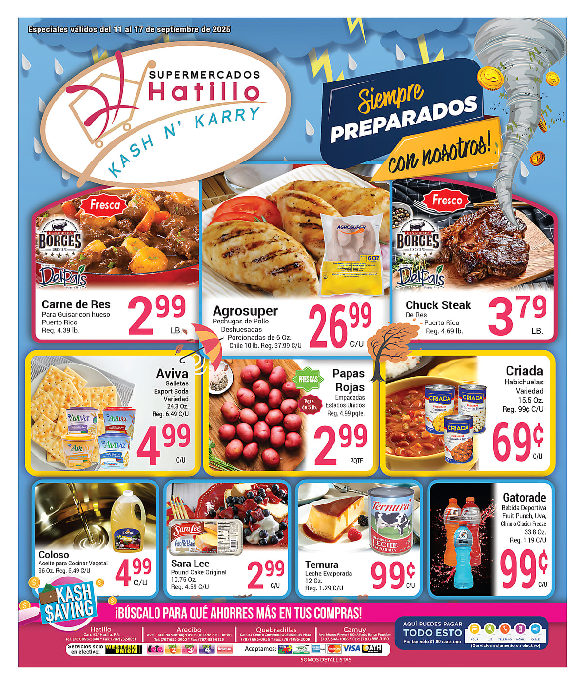 Shopper de Hatillo Kash N Karry